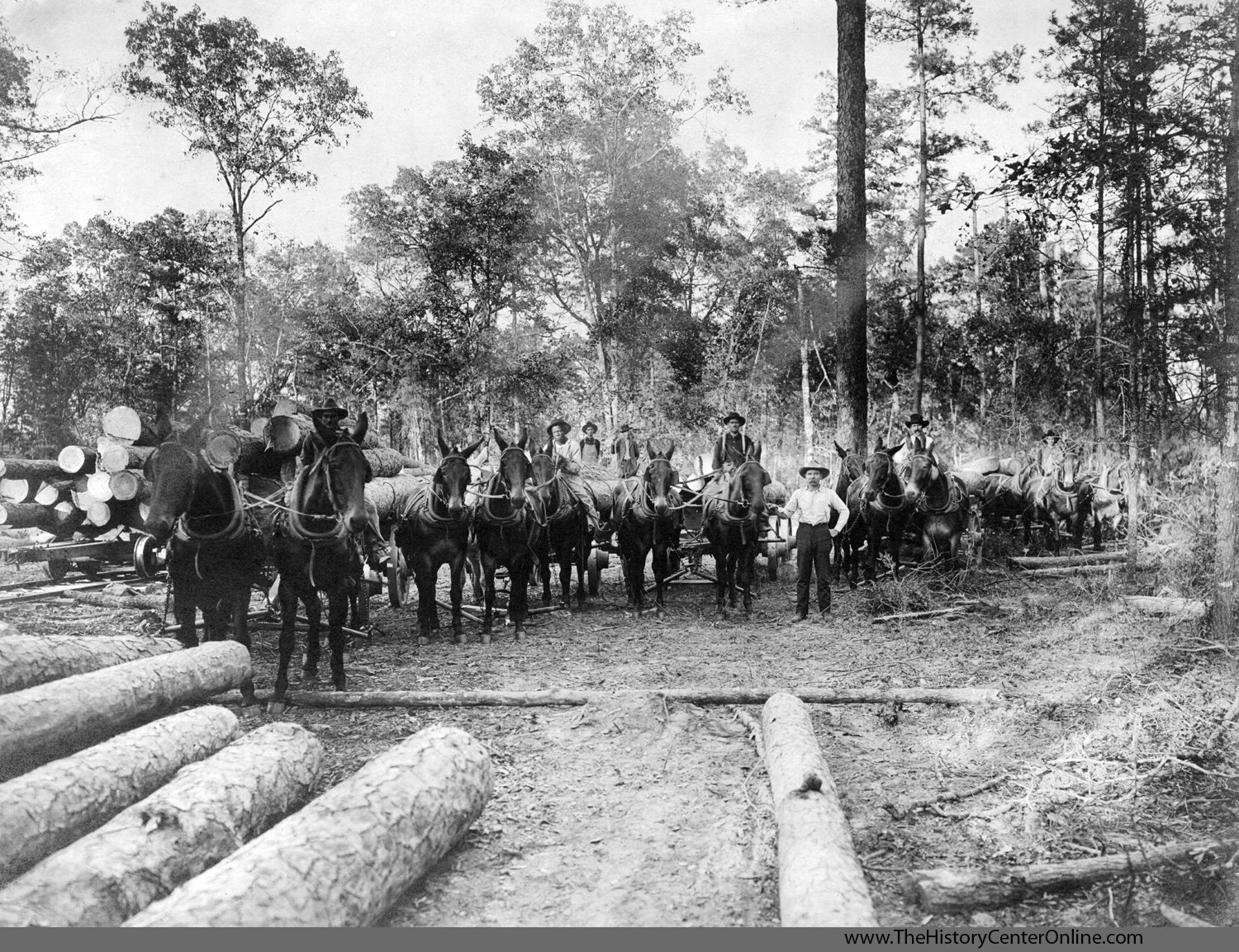 American Lumberman Photograph Exhibit | The History Center